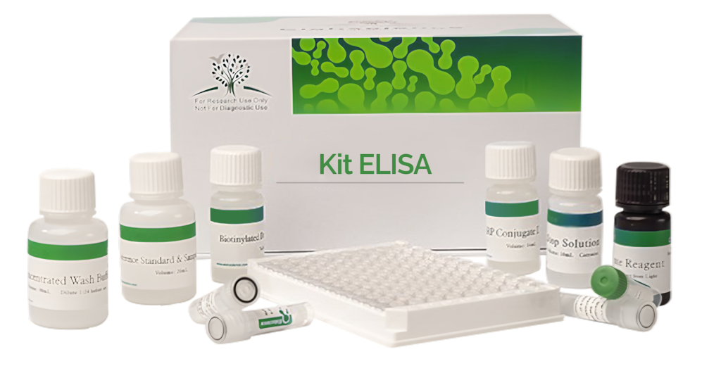 Kits de Elisa / Anticorpos Primários e Secundários – Sanbio Científica